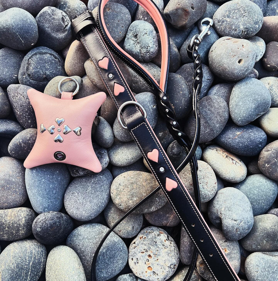 Waglie Premium Leather Accessories for the Dogs we love! Collars